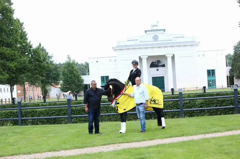 Twee winnaars in twee dagen voor Theo Driessen - Horses