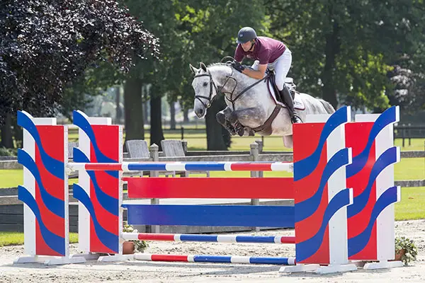 Voormalig veilingtopper Golia(th) springt naar overwinning - Horses