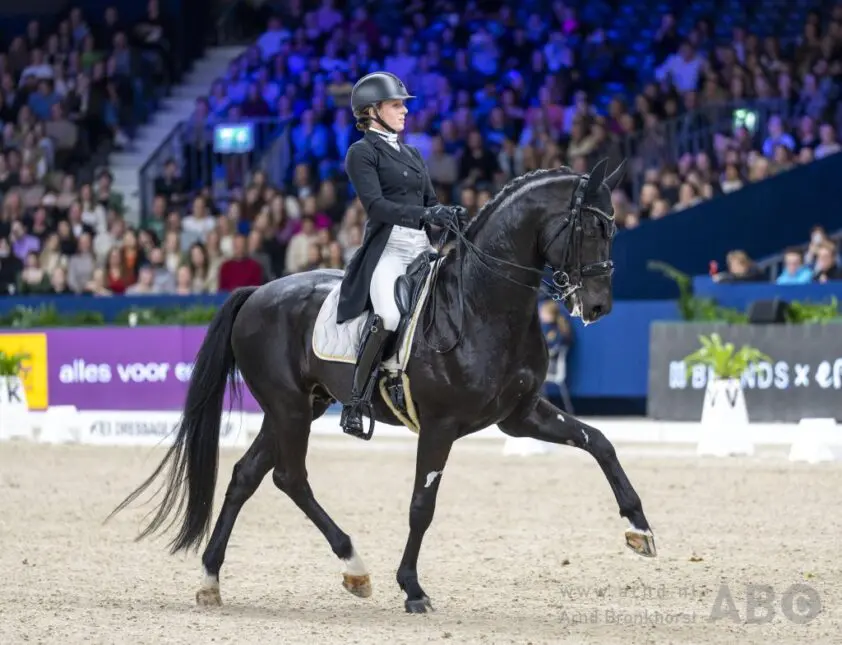 Flore De Winne: ‘Ik ben de kleine garnaal in de Wereldbeker’ - Horses