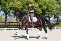 Qabil Ambak pakt brons met Wup op Asian Games - Horses