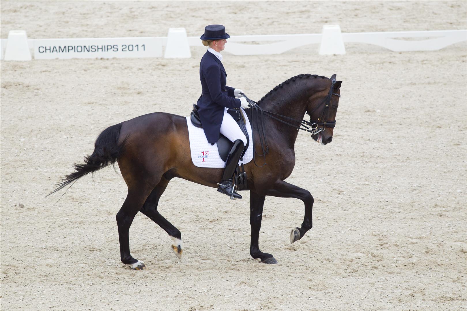 Deense dressuurpaarden in opkomst - Horses