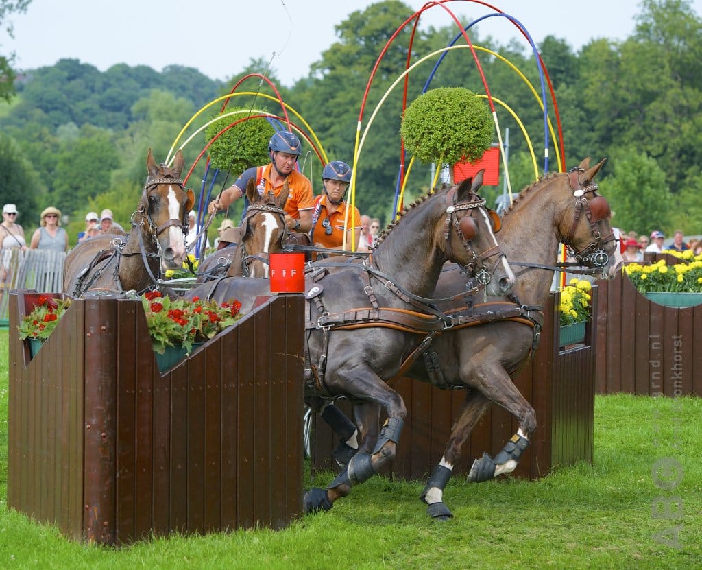 WB vierspannen Leipzig live te volgen op internet - Horses