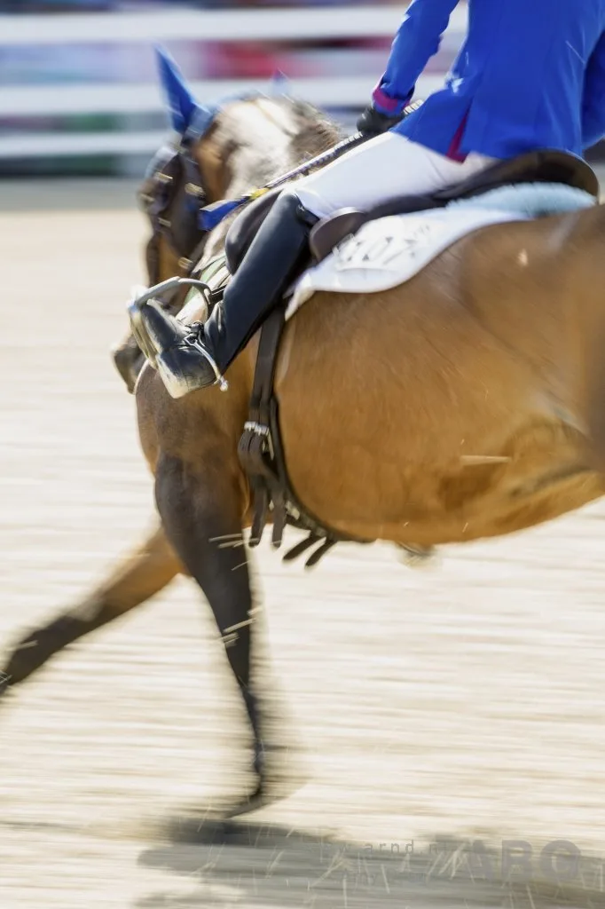 Nederlandse kampioenstitels voor Imke Driessen, Femm van Eck en Caro ...