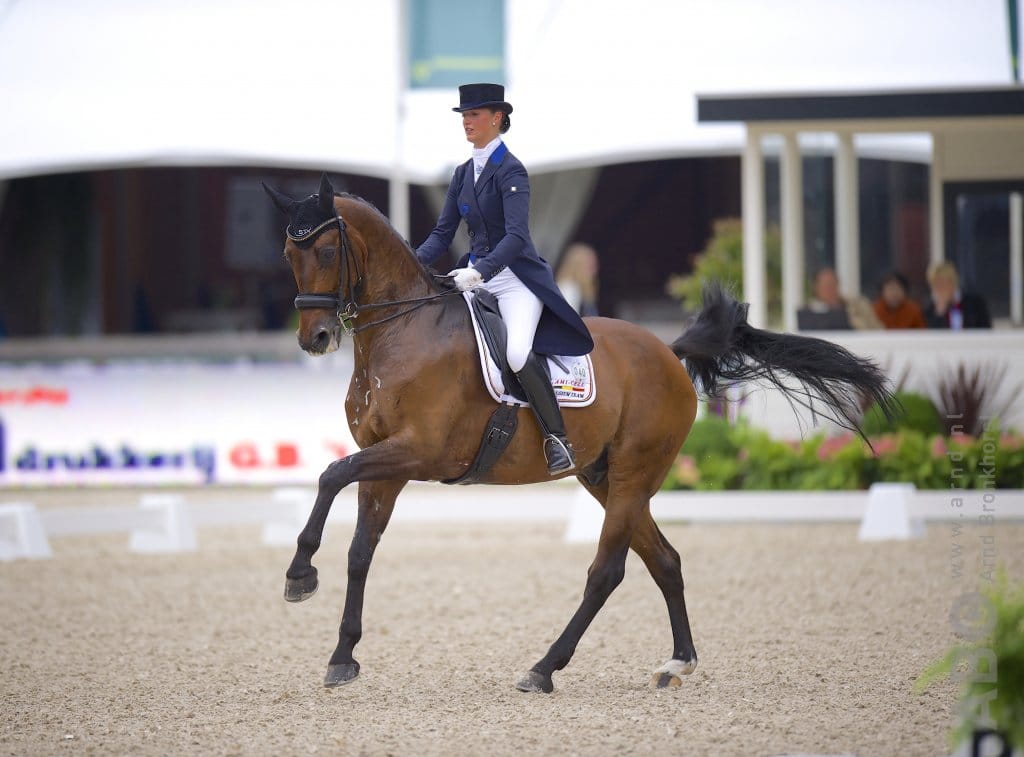 Derde plaats voor Ashley van Megen-Brons - Horses