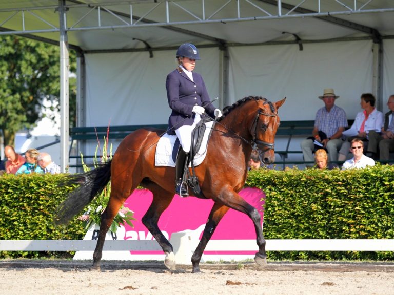 Inge Coenen ontwaakt uit coma - Horses.nl