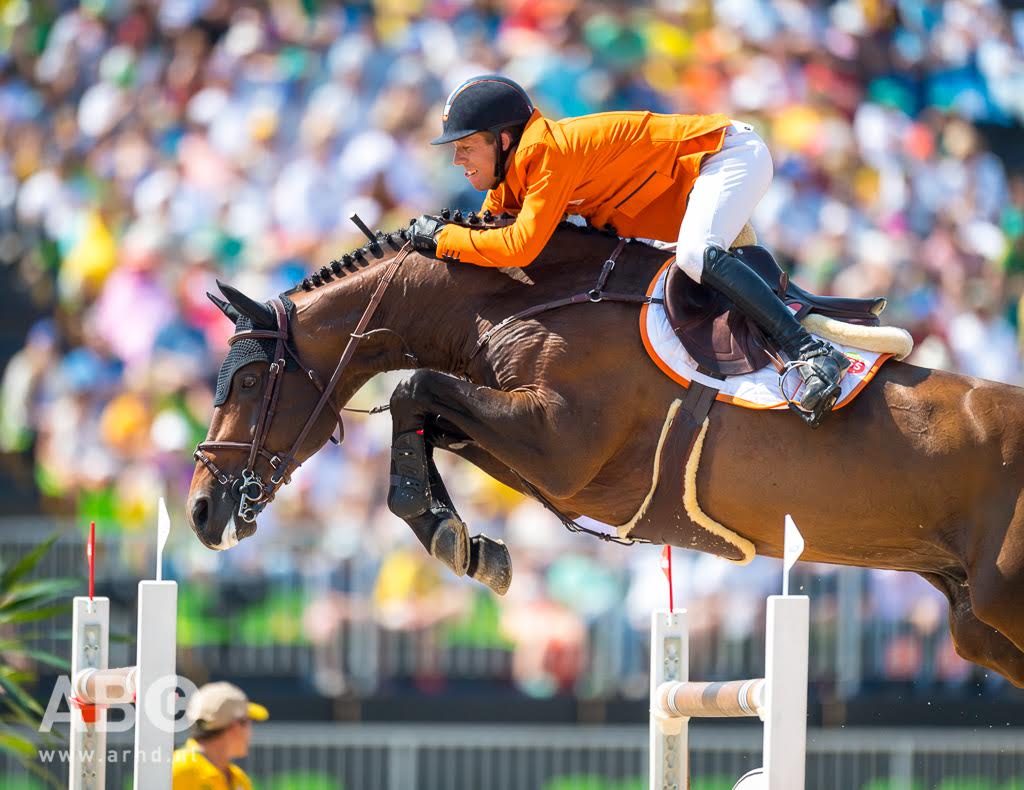 Verdi en Vingino in top HorseTelex Rankings - Horses