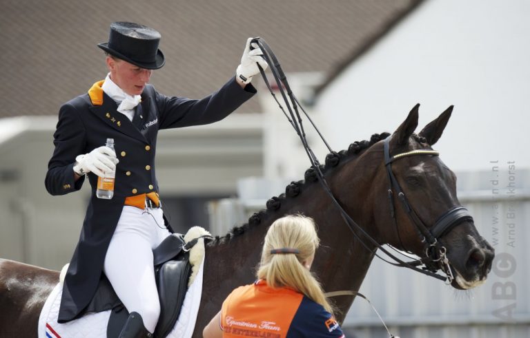 Driejarige Sezuan-hengst voor Imke Schellekens - Horses