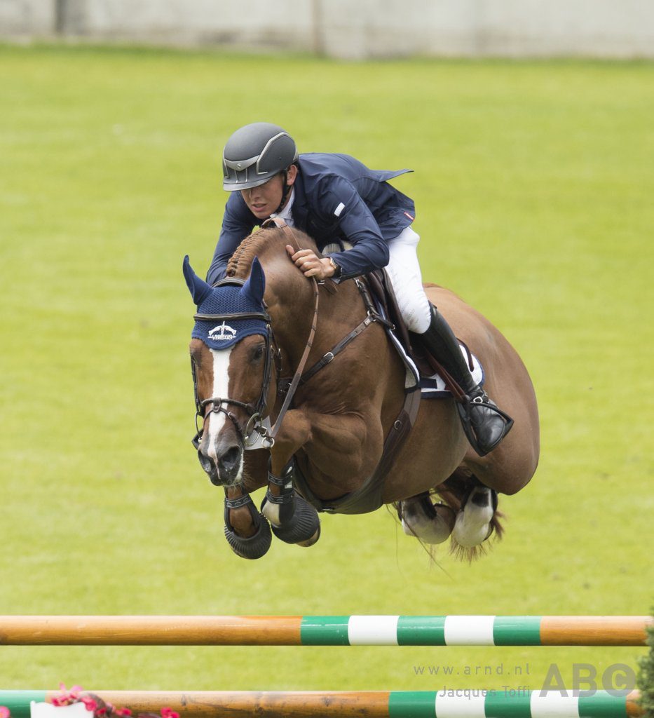Bertram Allens Romanov beschikbaar via de Stallion Company - Horses