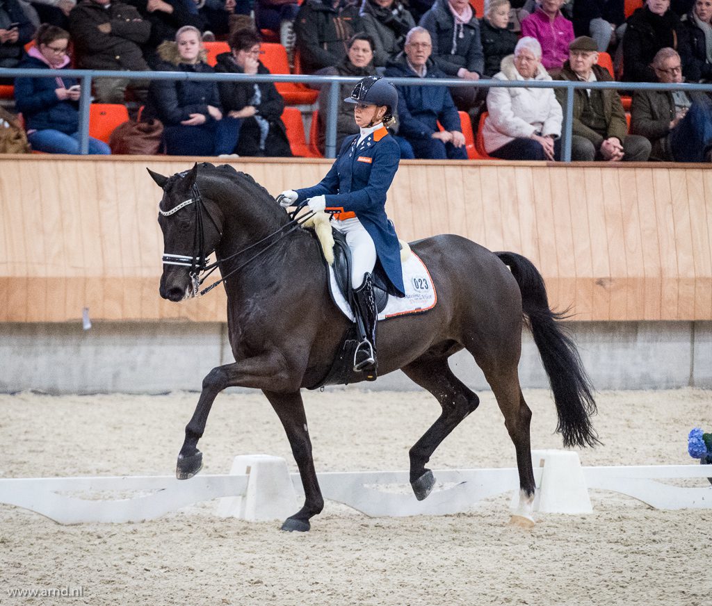 Maxime van der Vlist: 'Dit smaakt naar meer' - Horses