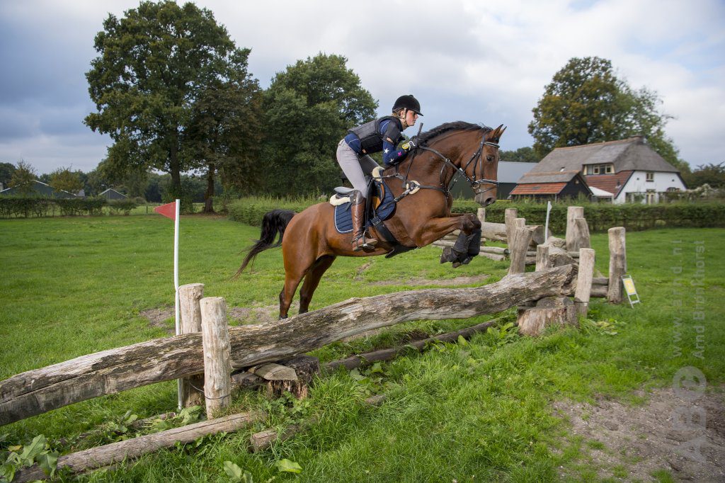 Forumvoorzitter Dirk Stuip: 'Het is tijd voor nieuw bloed' - Horses