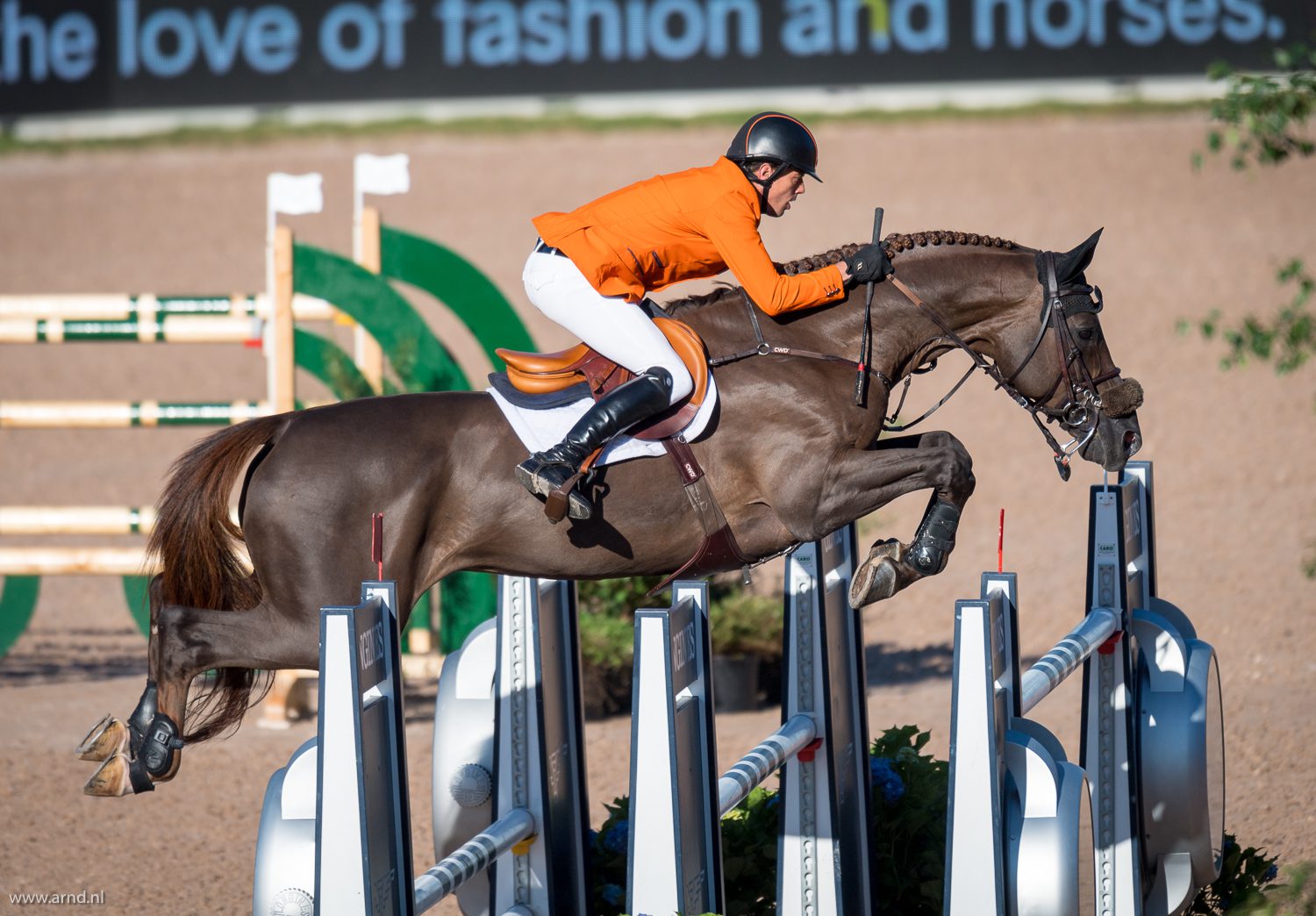 Troost-Wedstrijd: EK zilver voor Smolders en Don - Horses