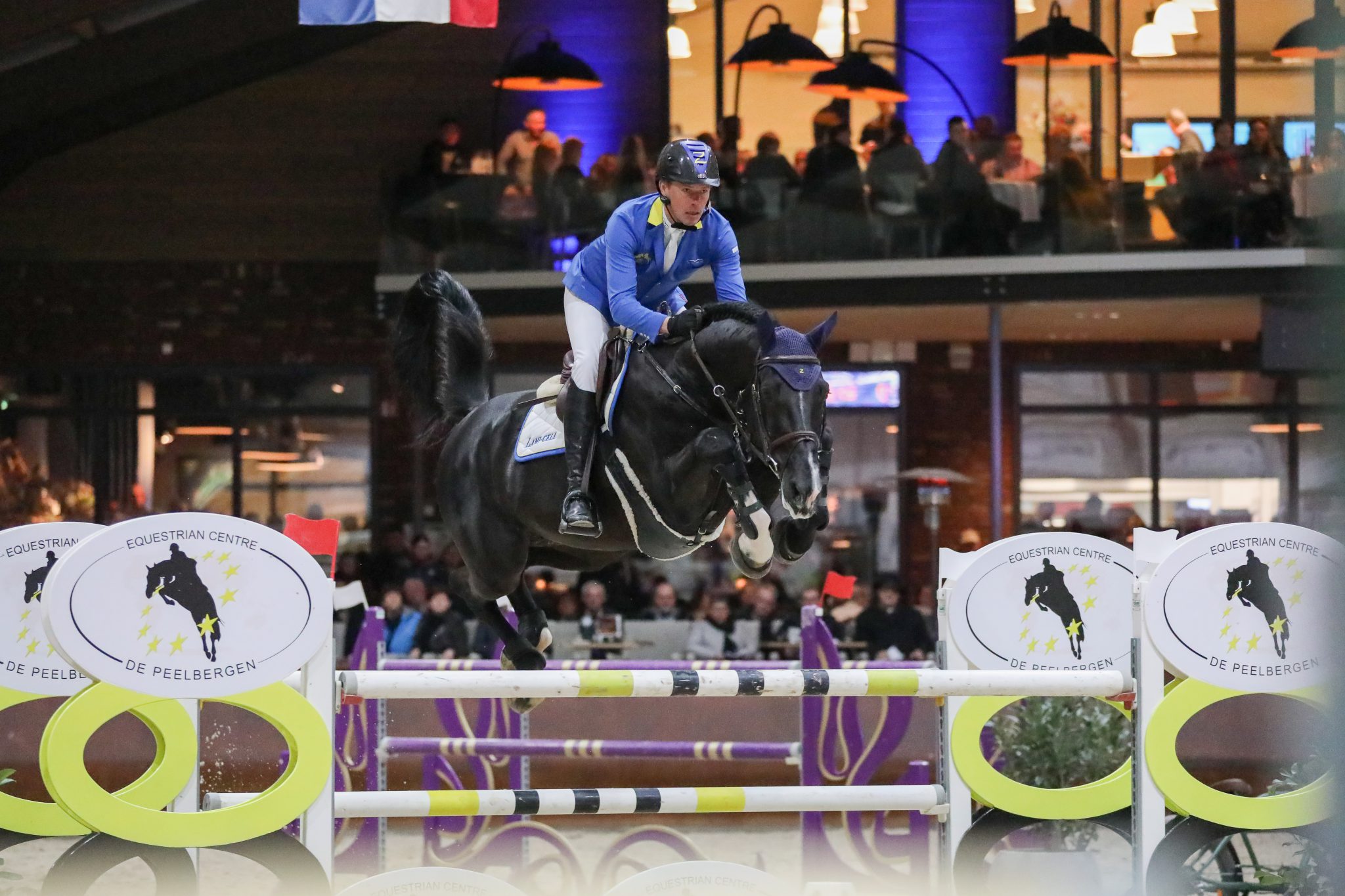 Emerald en Dominator Z leveren Zangersheide-veulenkampioenen - Horses