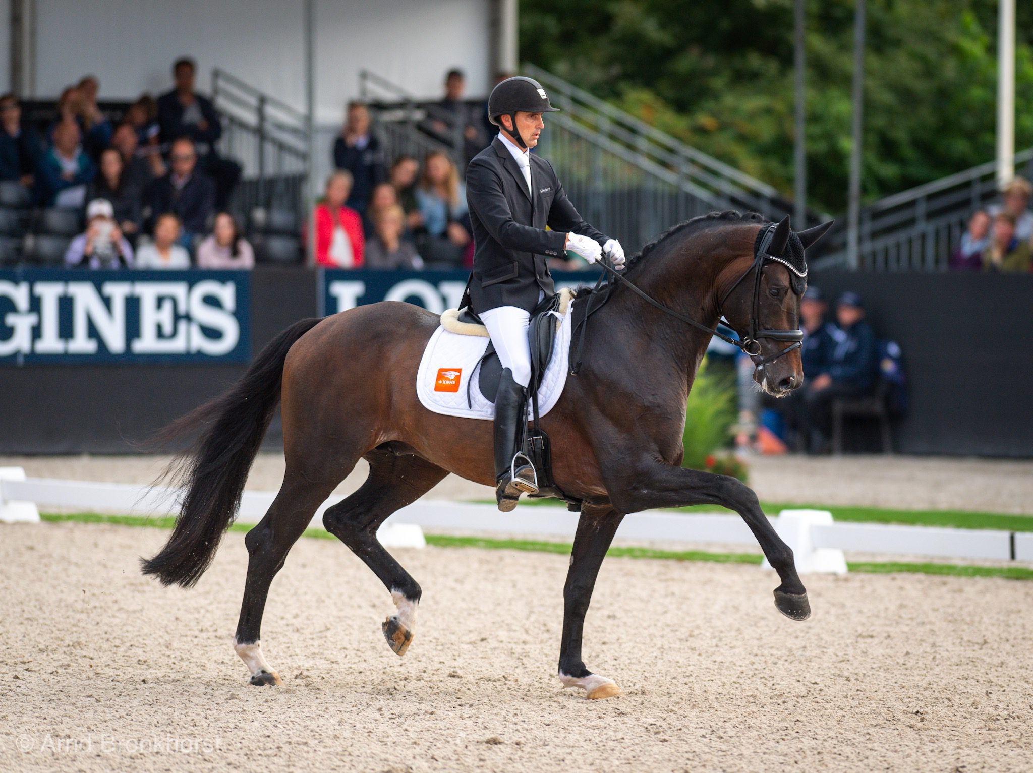 In Beeld: WK-finale vijfjarige dressuurpaarden - Horses