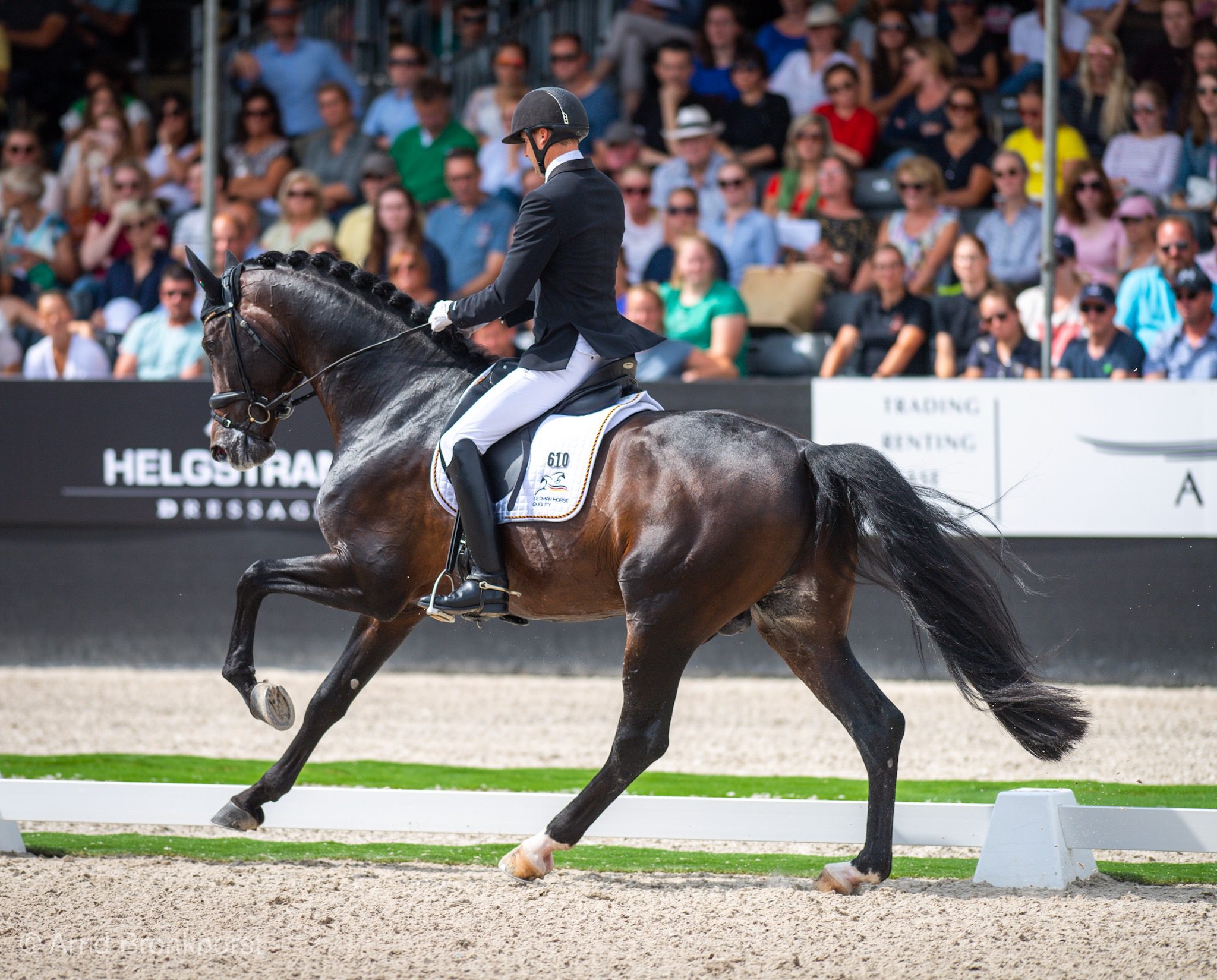 In Beeld: de beste zesjarige dressuurpaarden van de wereld - Horses