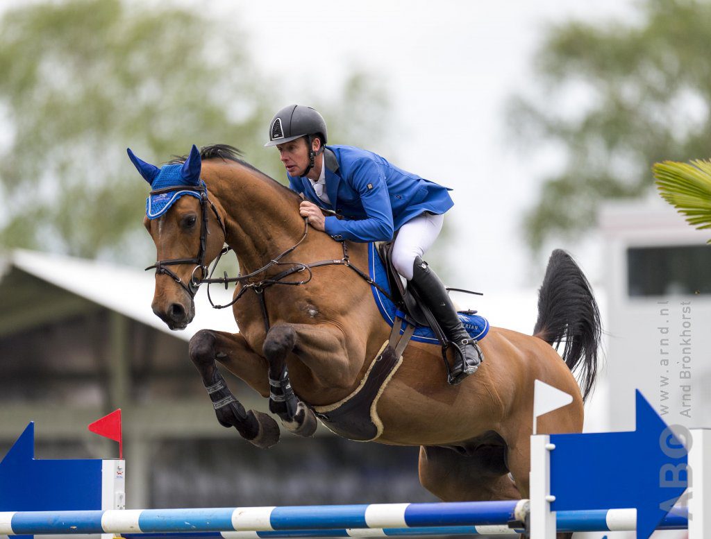 Bles staat zijn mannetje in Praag - Horses