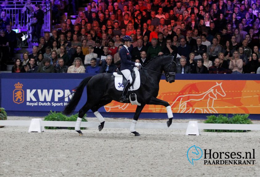 Le Formidable erkend door Hannoveraner Verband - Horses