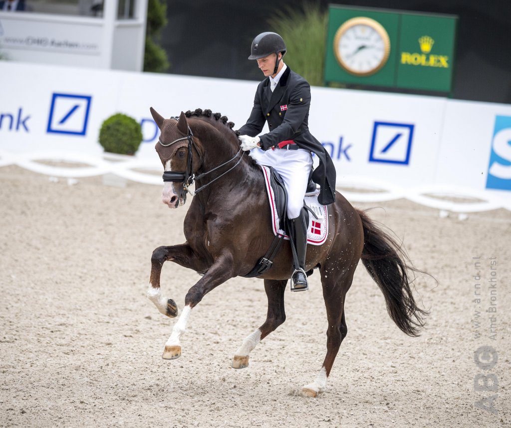 Daniel Bachmann Andersen vindt locatie voor eigen stal - Horses