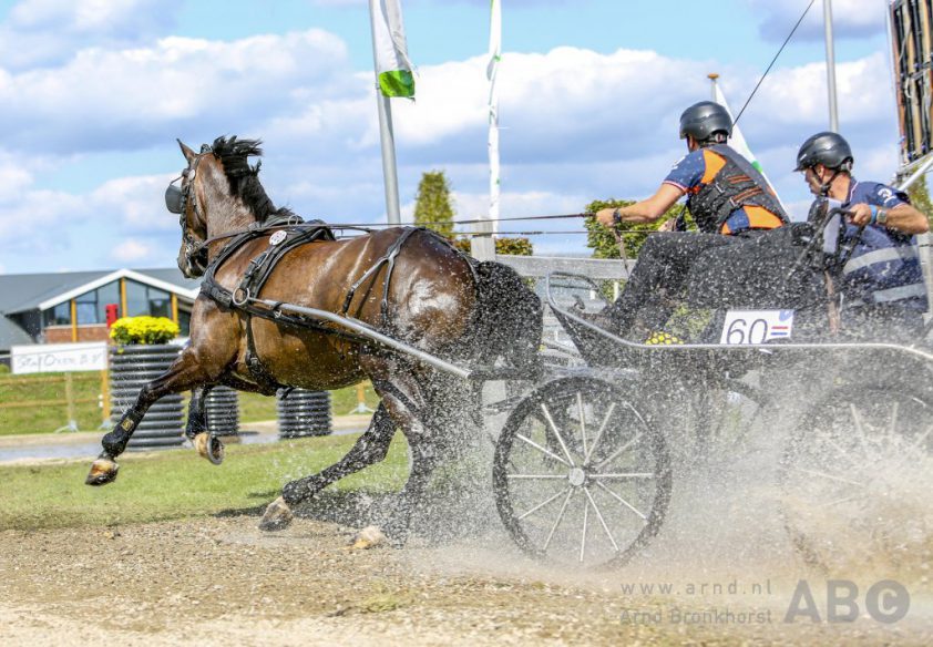 WK Enkelspannen: Rijders TeamNL goed uit de startblokken - Horses