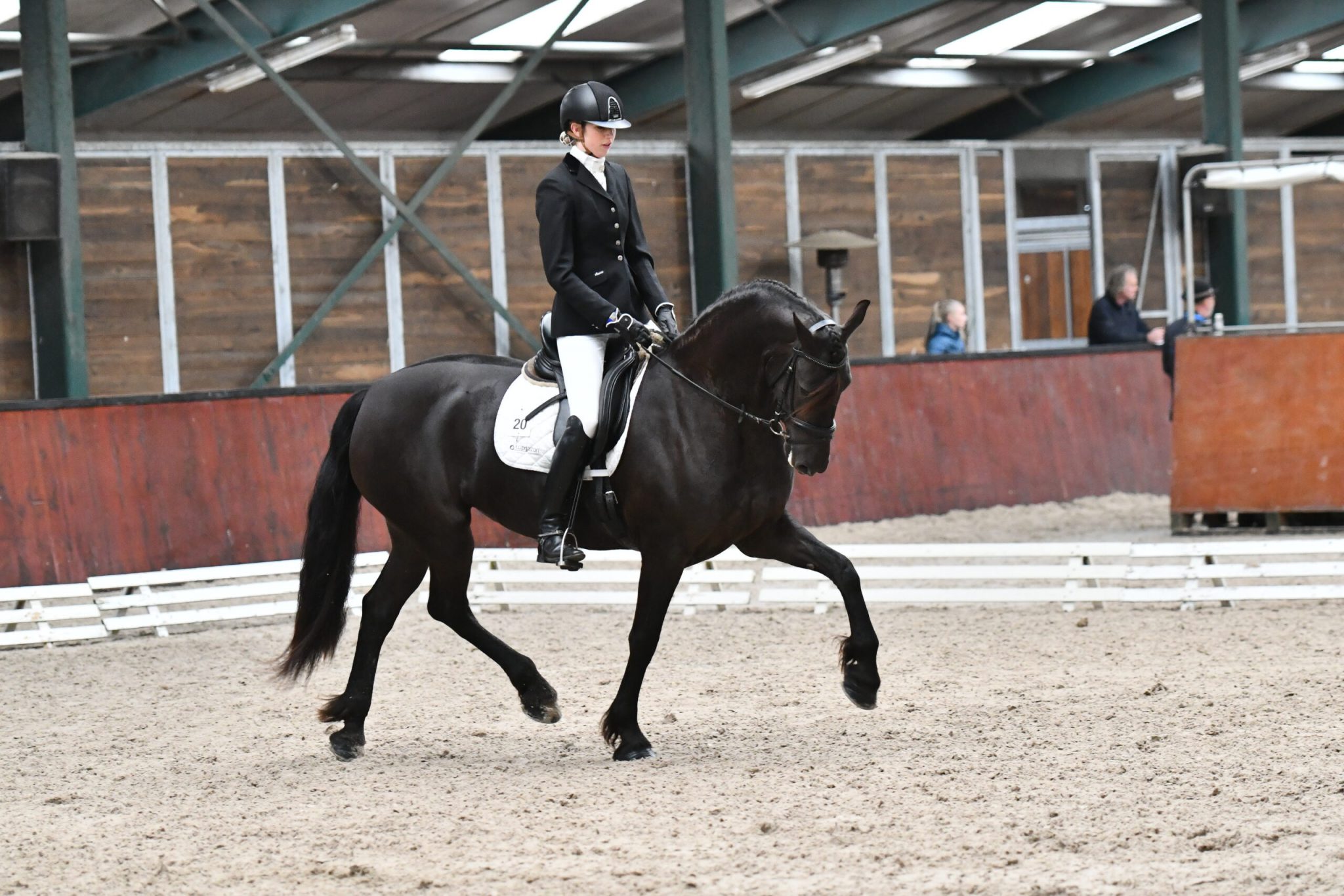 Friese IBOP: vier merries verzilveren Kroonpredicaat - Horses