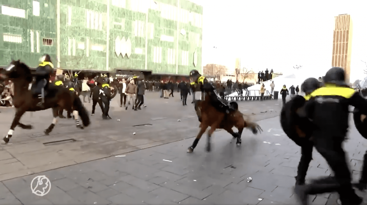 PvdD wil af van inzet bereden politie bij rellen - Horses