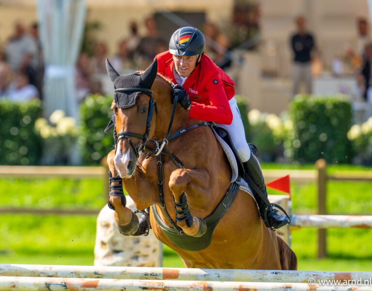 Springen - Horses