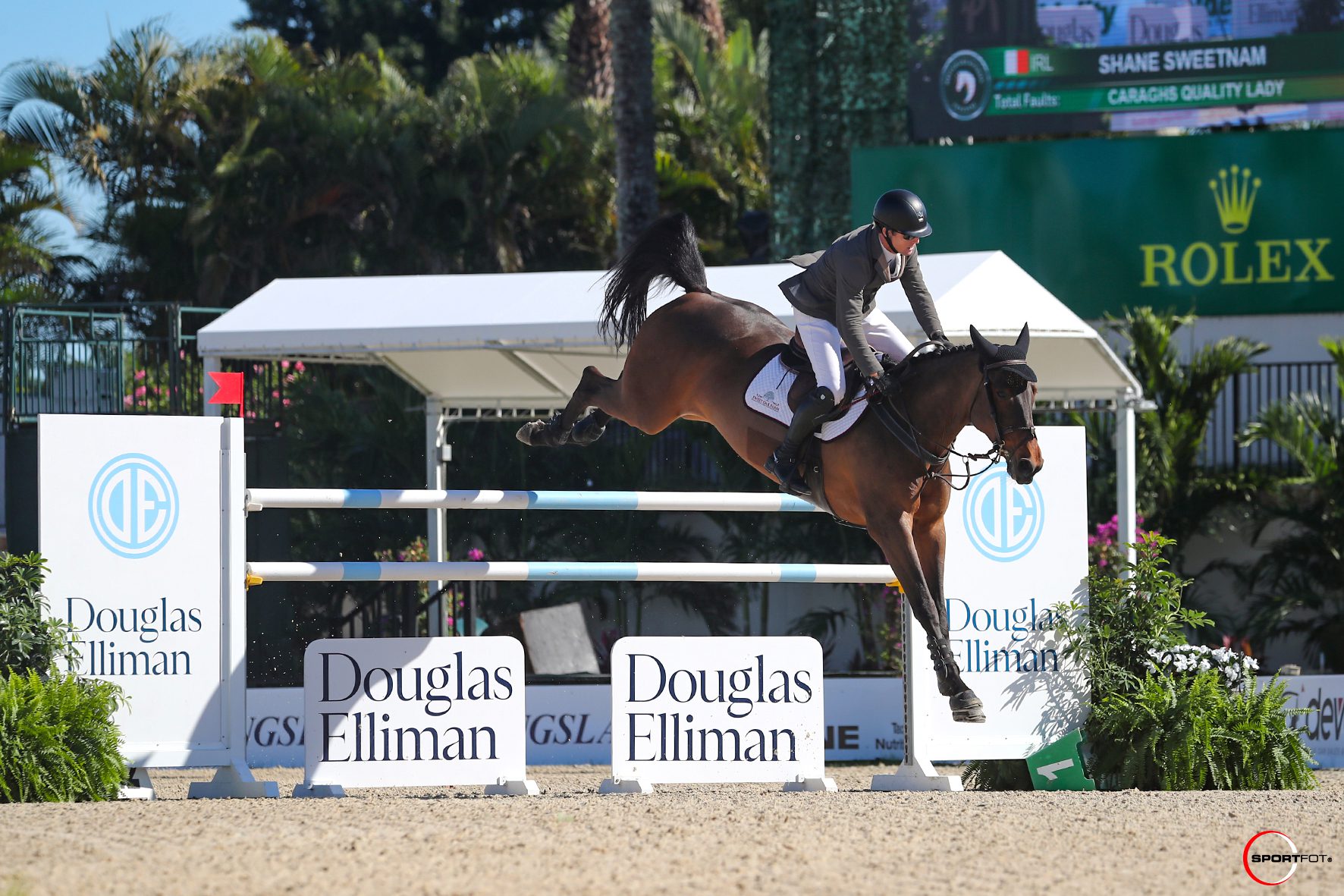 Shane Sweetnam galoppeert iedereen voorbij in 1,45m-speed class - Horses