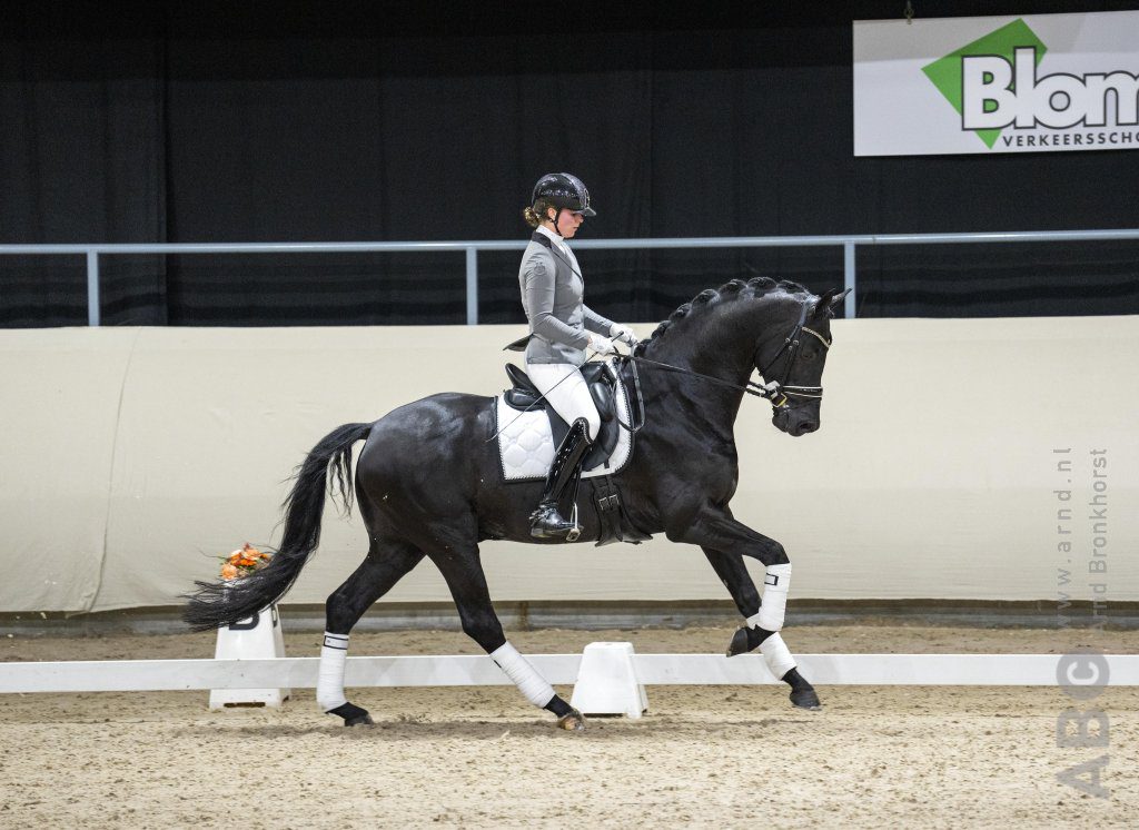 IBOP Tolbert: tien merries geslaagd, Le Formidable levert topper - Horses