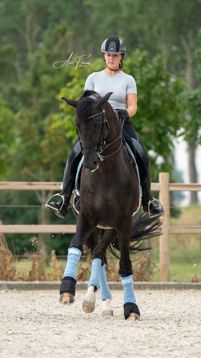 Opnieuw ruiterwissel voor KWPN-hengst Four Legends - Horses