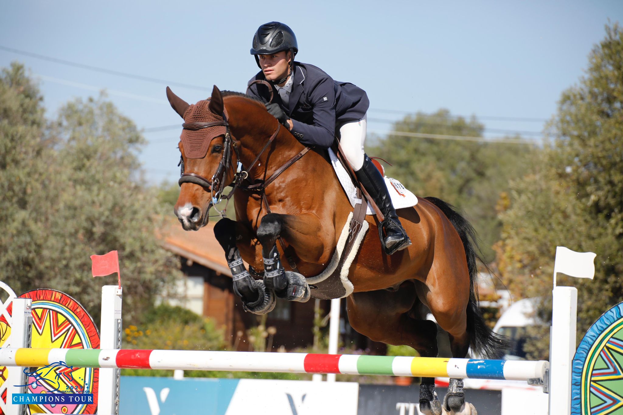 Zevenjarige Grand Slam VDL aangekocht door SFN - Horses
