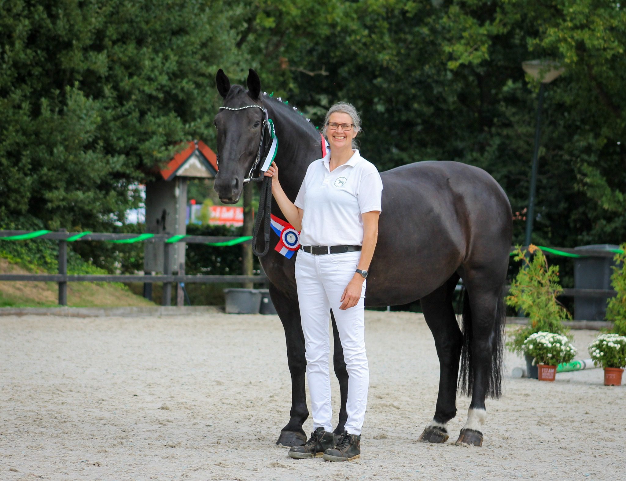 Geslaagde nationale keuring Vereniging Het Groninger Paard - Horses