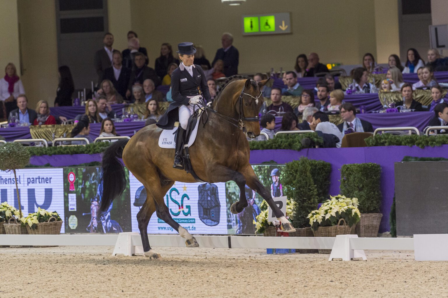 Langehanenbergs Vayron onder Daniel Bachmann Andersen - Horses