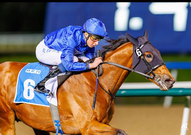 Godolphin op stoom in de derde DWCC meeting - Horses