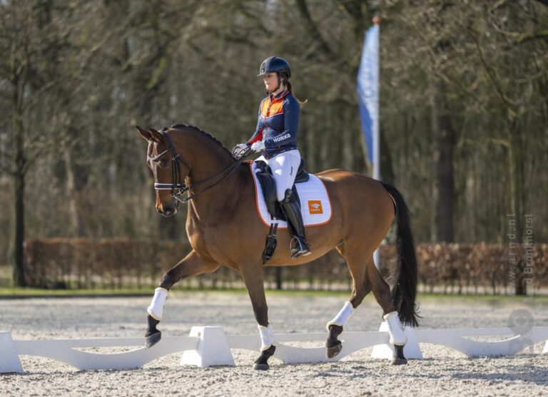Finalisten KNHS Para Dressuur Trophy bekend - Horses