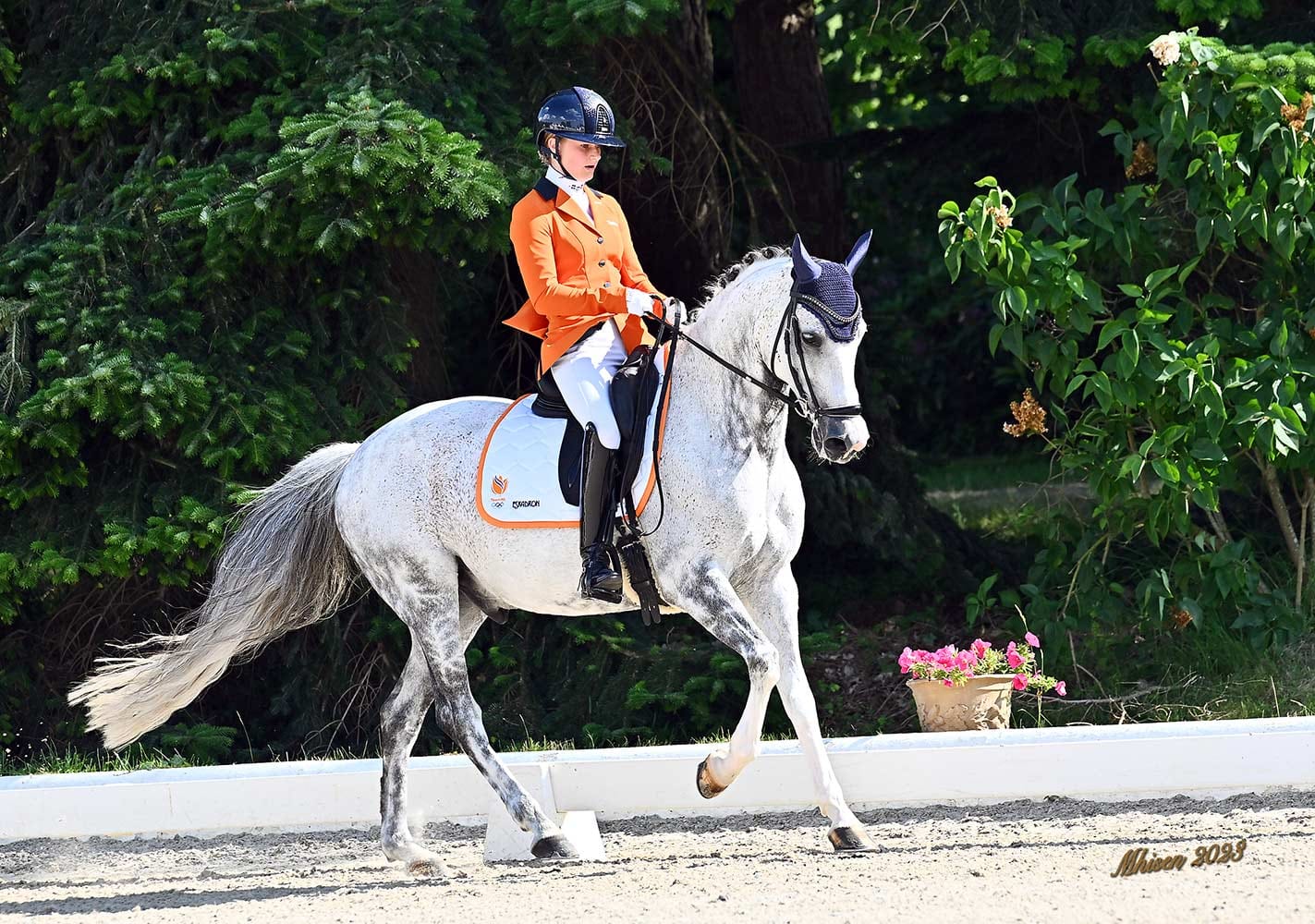 Sissi Gijsen en New Star winnen eerste onderdeel pony's - Horses