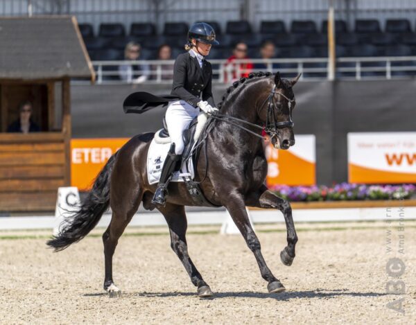 Renate van Uytert wint ook LT-kür op CDI Kronenberg, Hattrick voor ...