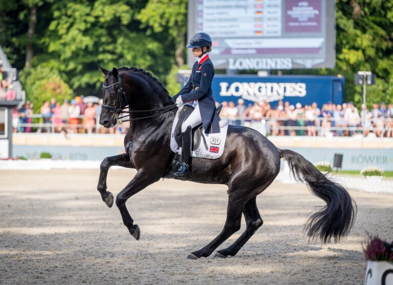 Glamourdale is KWPN Dressuurpaard van het Jaar - Horses