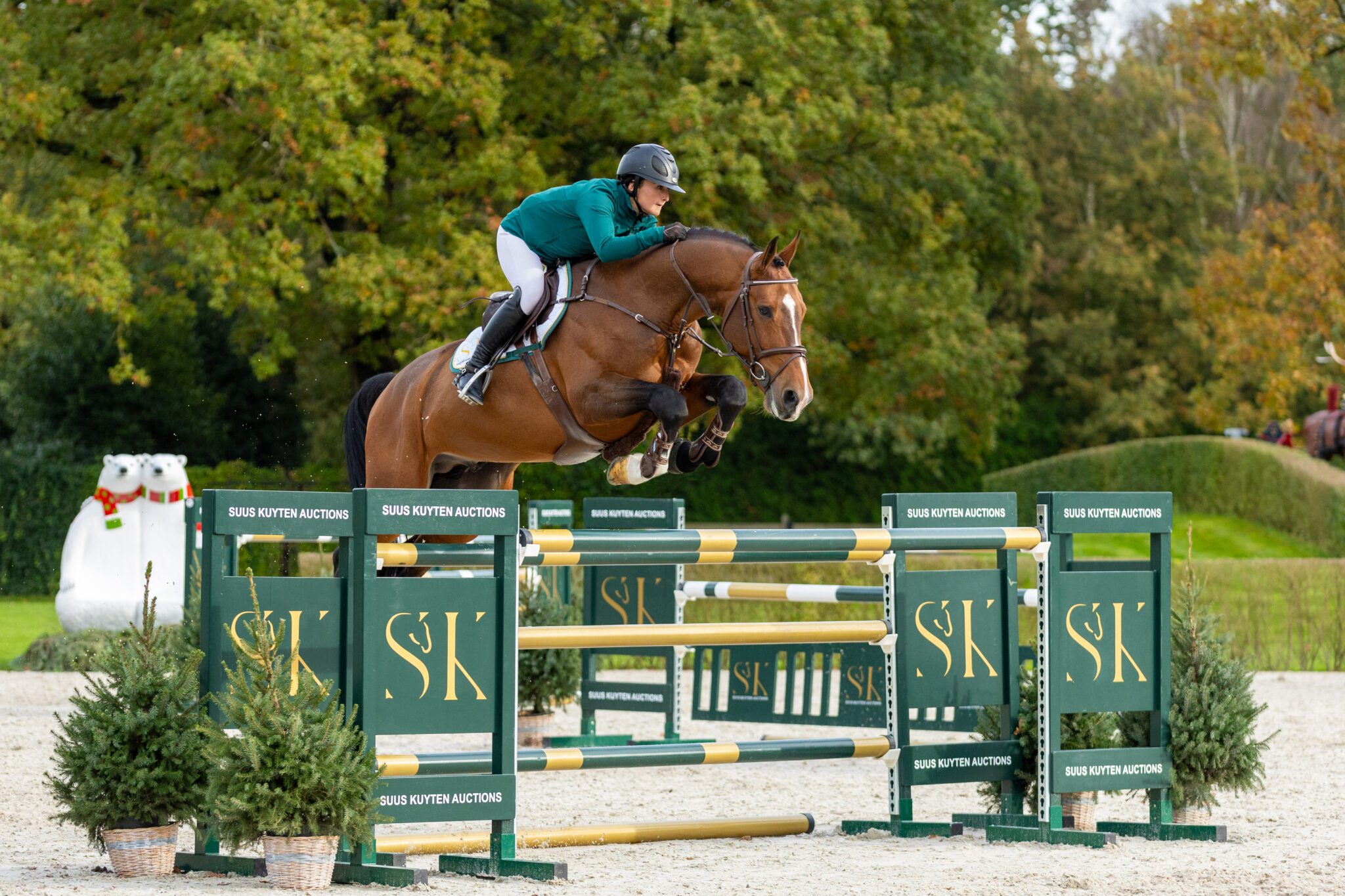 Toptalenten en embryo’s in Suus Kuyten Auctions: ' Mijn beste jonge ...