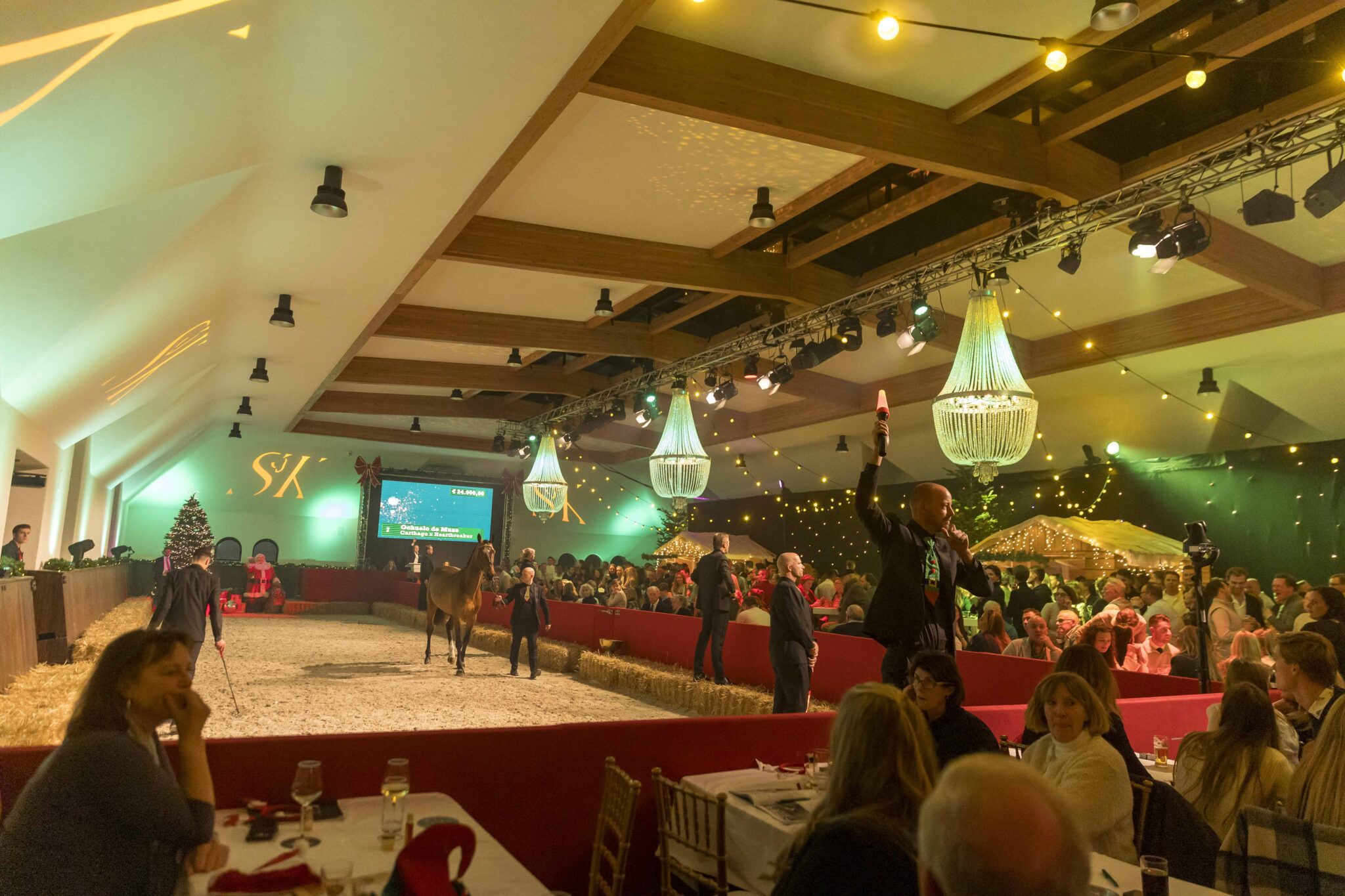 Suus Kuyten Auction: 87.500 euro voor BWP-goedgekeurde hengst Ruby DC ...