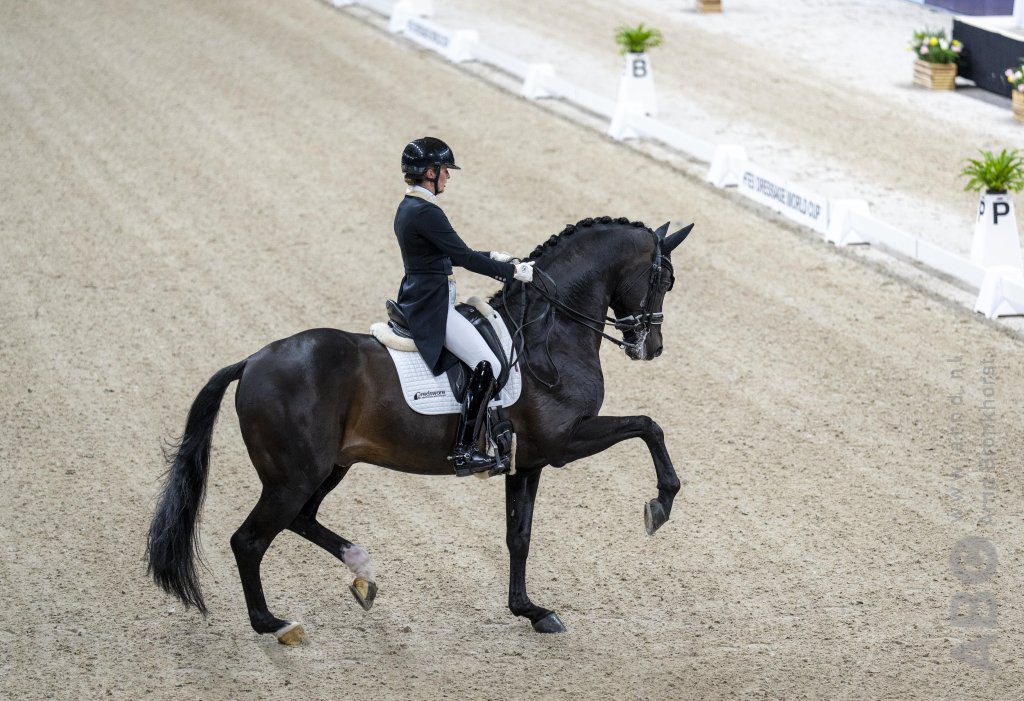 In Beeld: Wereldbeker dressuur Amsterdam - Horses