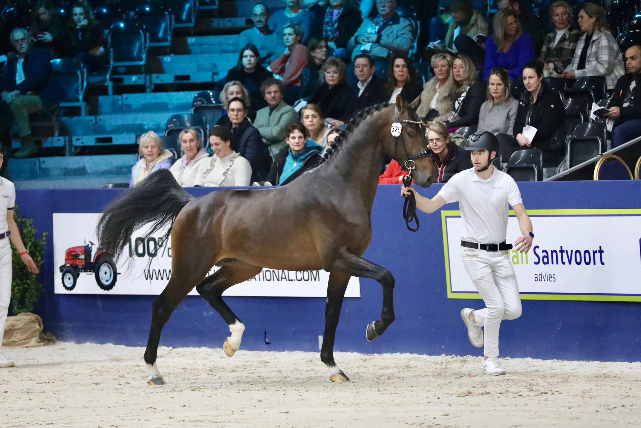 Startlijst eerste zadelpresentatie en de herkansing onder het zadel ...