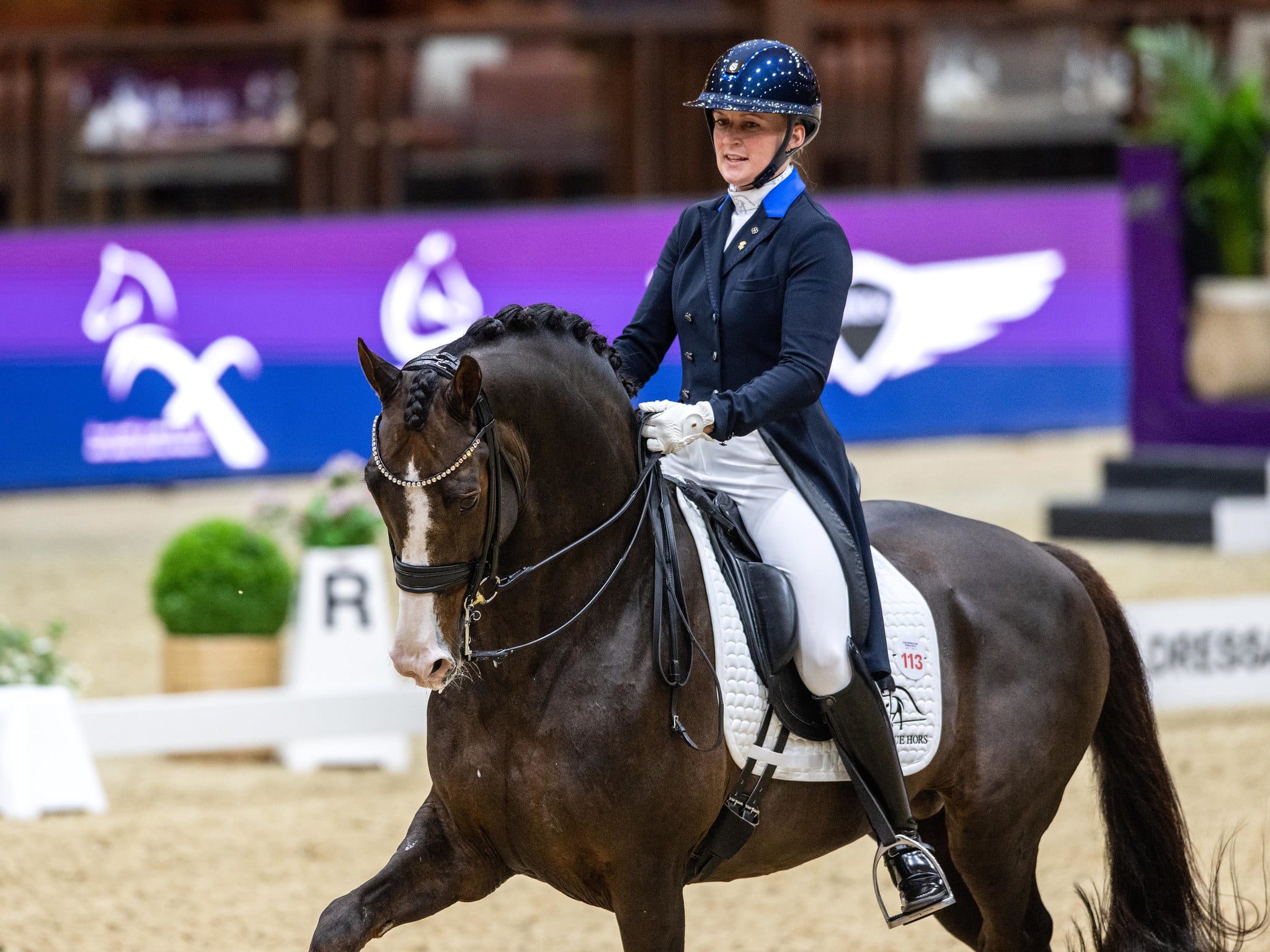 Grootste paard ter wereld: 2,10 meter - Horses