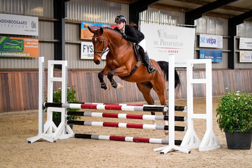 Royal Shutterfly wint Geert Meursing Bokaal op VWF Springen 2024 - Horses