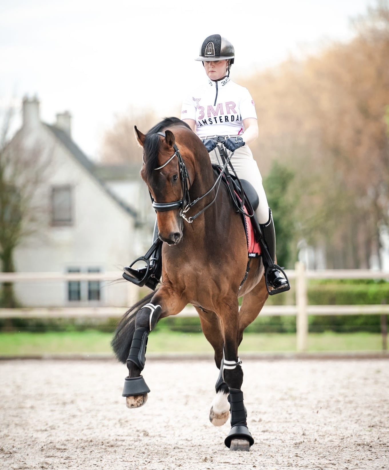 Drie overwinningen en Grand Prix-paard nummer negen voor Jeanine ...