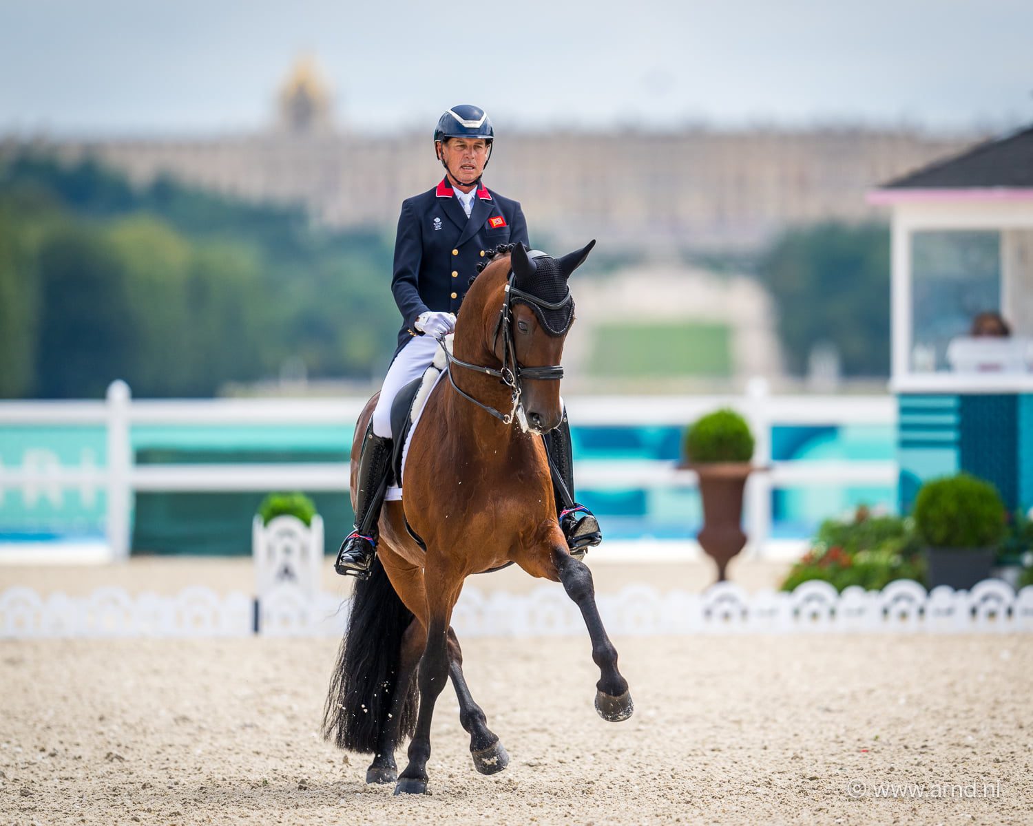 Carl Hester ruimschoots naar overwinning in Grand Prix op CDI Addington ...