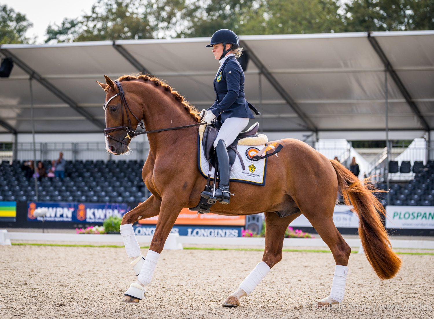 Centrale Hengstenkeuring van Nederlands Welsh Pony en Cob Stamboek 2025 ...
