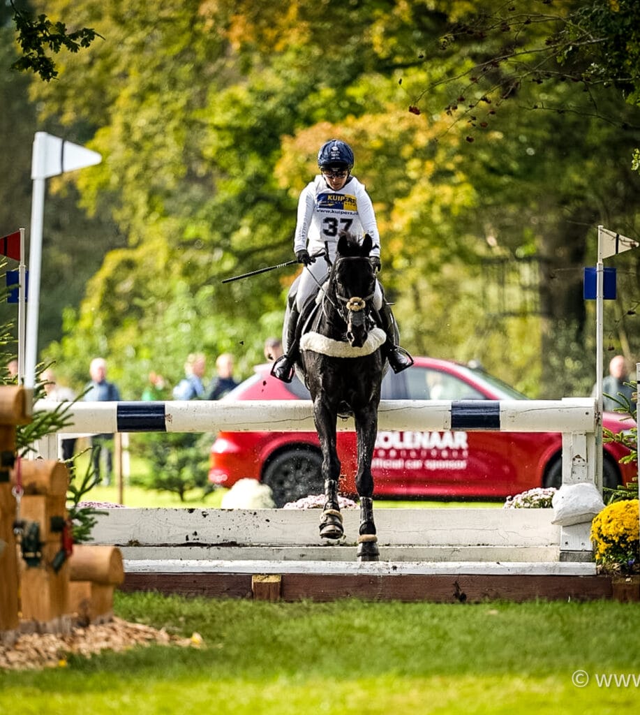 Laura Colletts carrière-makende pony Noble Springbok overleden - Horses