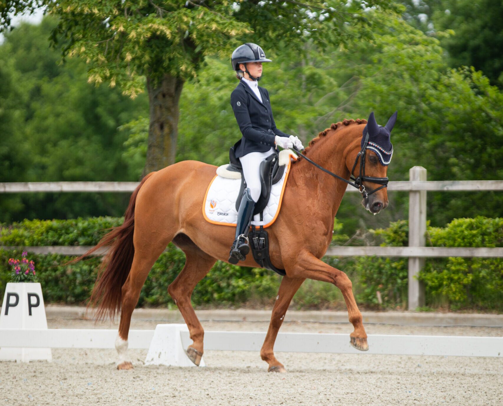 NK Dressuur - Horses