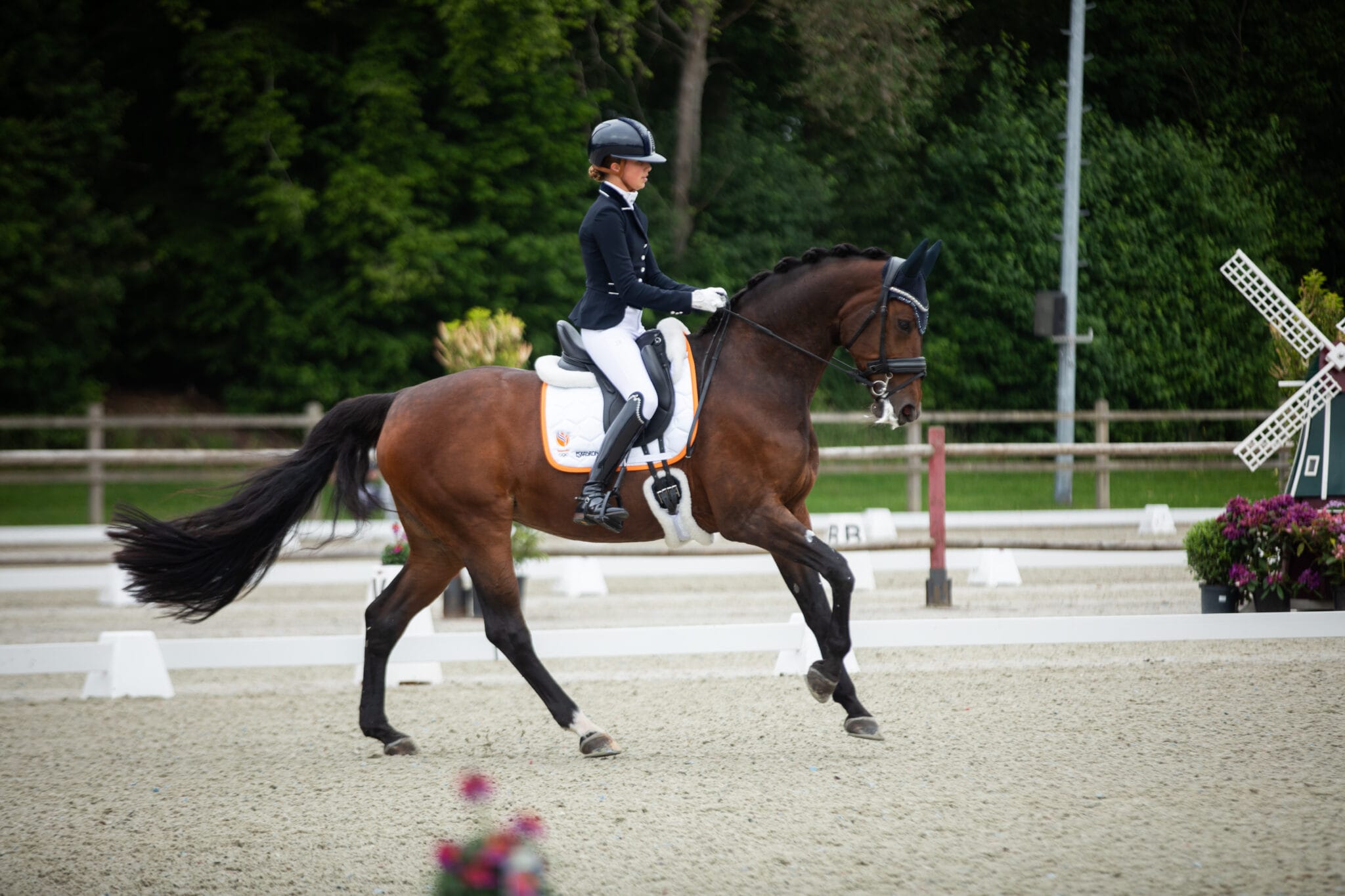 NK Dressuur - Horses