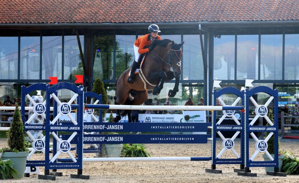 Grootste paard ter wereld: 2,10 meter - Horses