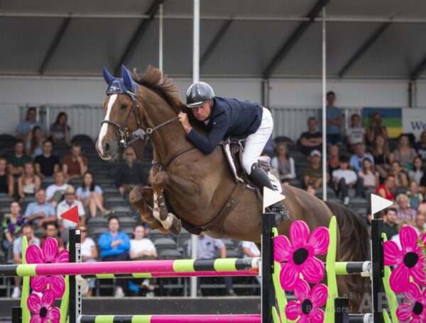 Harrie Wiering grijpt zege in hoofdnummer Outdoor Gelderland - Horses